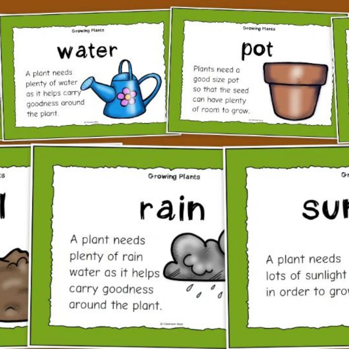 Upwell Academy - Year 1 Science - Growing